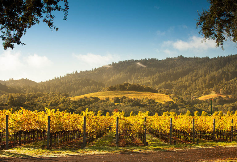 Paragon Label | Wine Label Printing | Napa-Sonoma